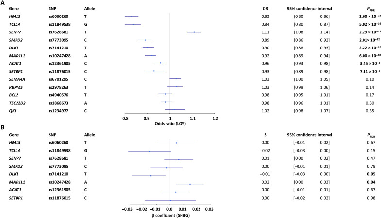 Age Related Loss Of Chromosome Y Is Associated With Levels Of Sex Hormone Binding Globulin And
