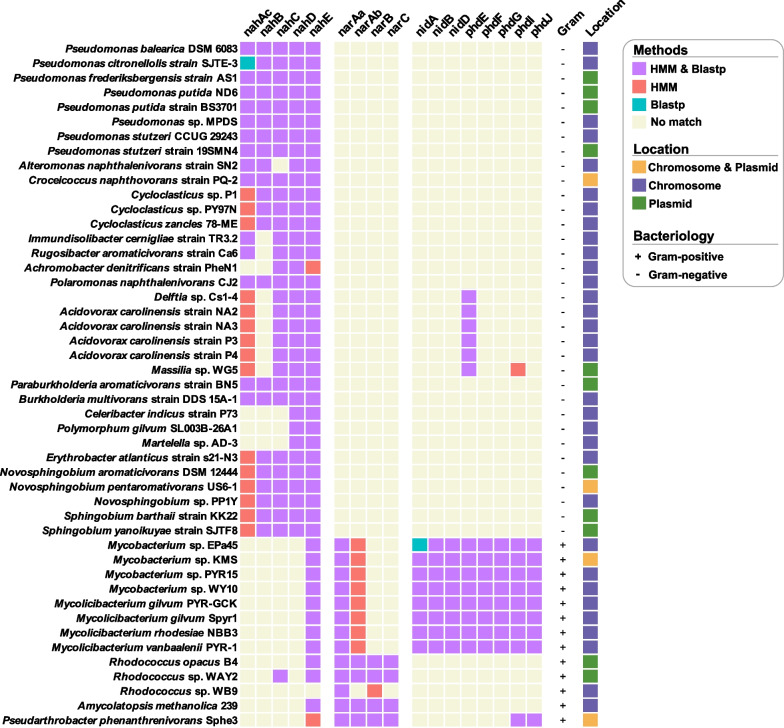 Polycyclic aromatic hydrocarbon (PAH) biodegradation capacity revealed by a genome-function ...