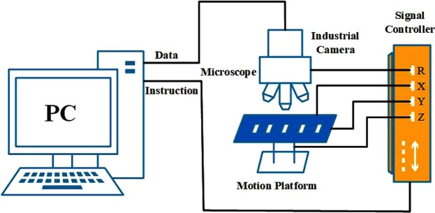 A dicentric chromosome identification method based on clustering and watershed algorithm - PMC