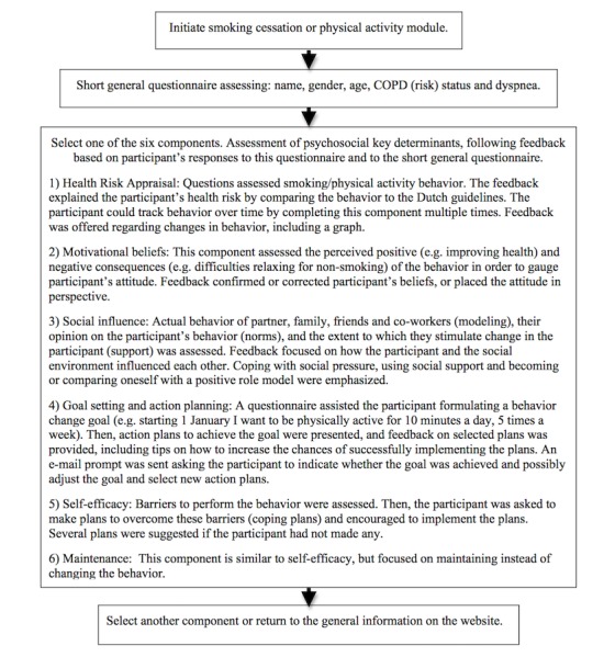 The Impact of Participant Characteristics on Use and Satisfaction of a Web-Based Computer ...