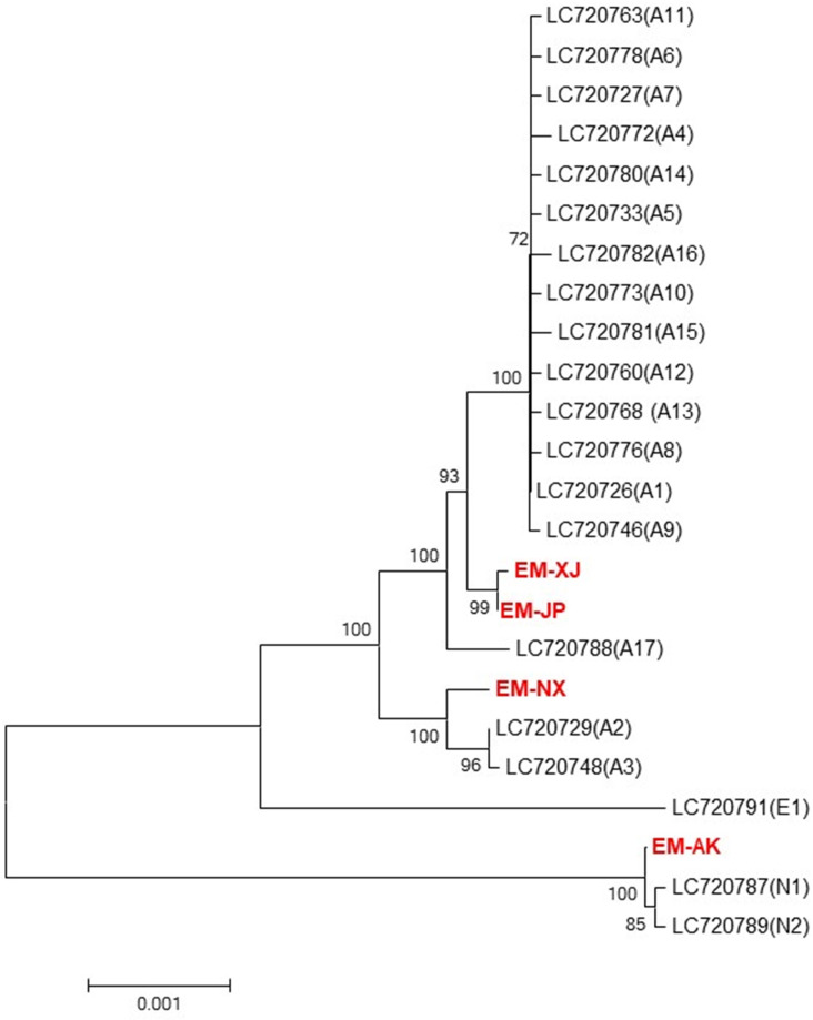 The genetic variation of mitochondrial sequences and pathological differences of Echinococcus ...