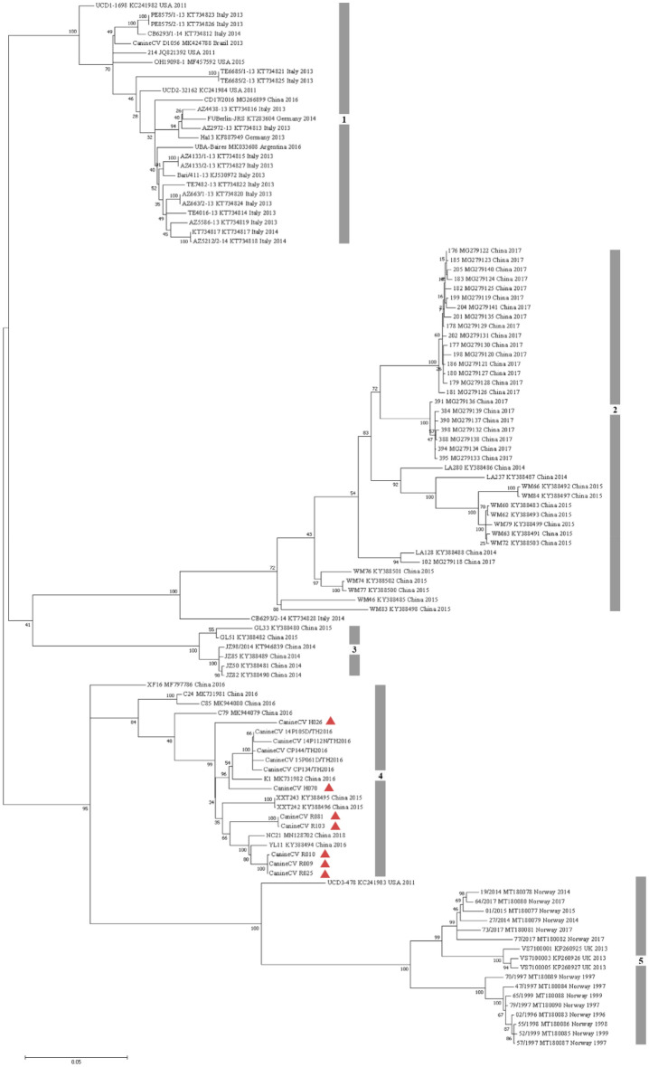 Epidemiology, genetic diversity, and association of canine circovirus infection in dogs with ...