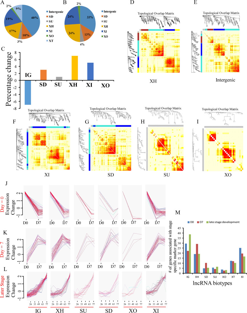 Temporal transcriptome analysis of neuronal commitment reveals the preeminent role of the ...