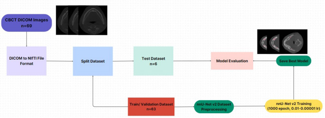 AI-powered segmentation of bifid mandibular canals using CBCT - PMC