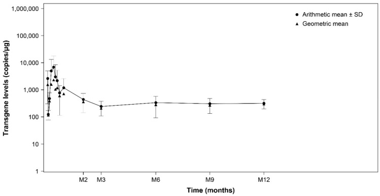 Efficacy and safety of tisagenlecleucel in adult Japanese patients with relapsed or refractory ...
