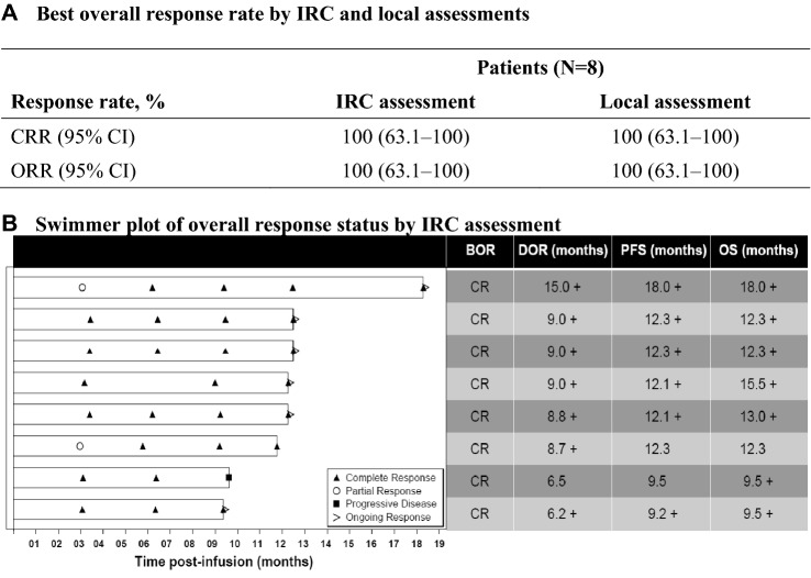 Efficacy and safety of tisagenlecleucel in adult Japanese patients with relapsed or refractory ...