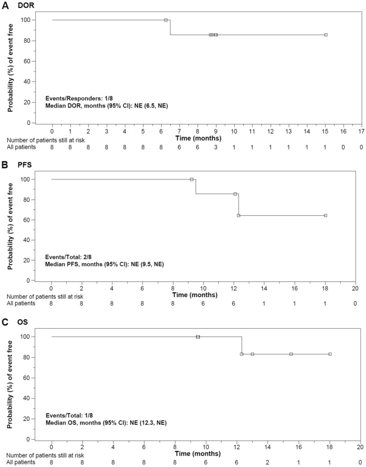 Efficacy and safety of tisagenlecleucel in adult Japanese patients with relapsed or refractory ...