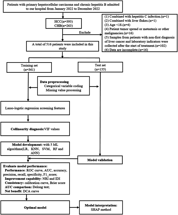Development and validation of an interpretable machine learning model for predicting the risk of ...