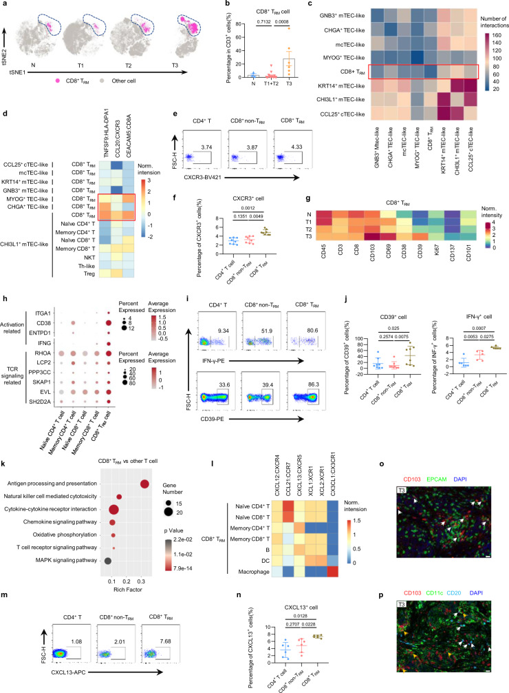 The immune landscape of human thymic epithelial tumors - PMC