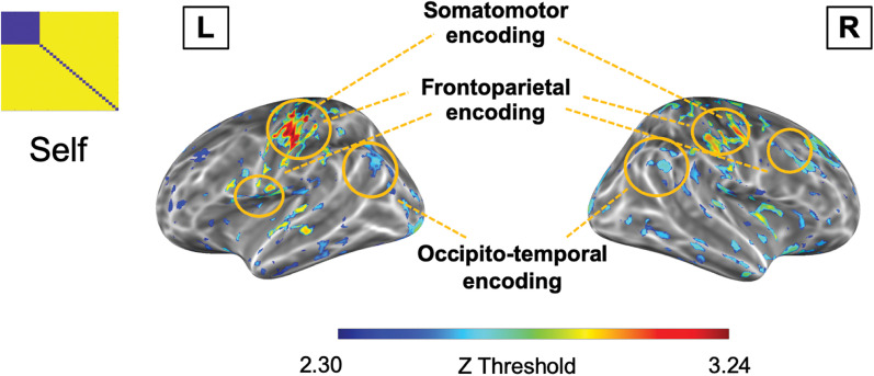 Self-awareness From Whole-body Movements - Pmc