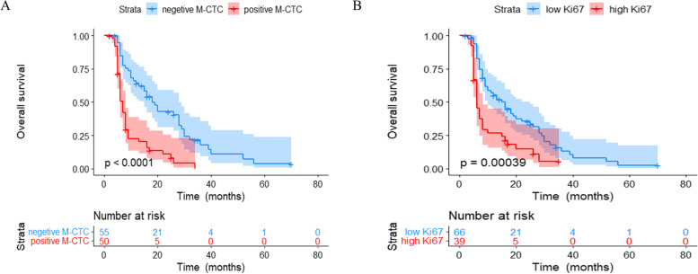 Mesenchymal circulating tumor cells and Ki67: their mutual correlation and prognostic ...