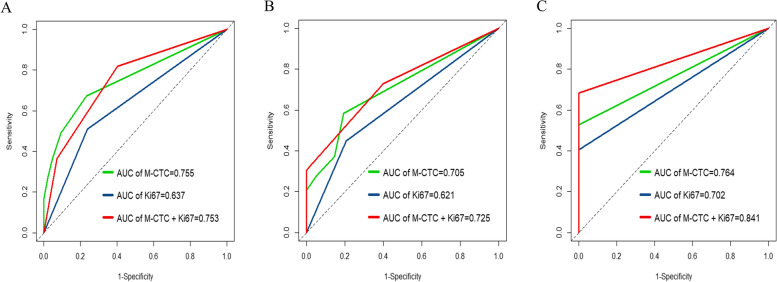 Mesenchymal circulating tumor cells and Ki67: their mutual correlation and prognostic ...
