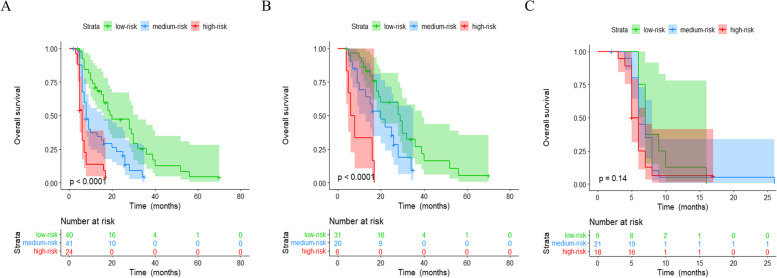 Mesenchymal circulating tumor cells and Ki67: their mutual correlation and prognostic ...