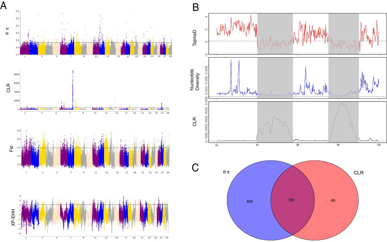 Genetic diversity and signatures of selection in BoHuai goat revealed by whole-genome sequencing ...