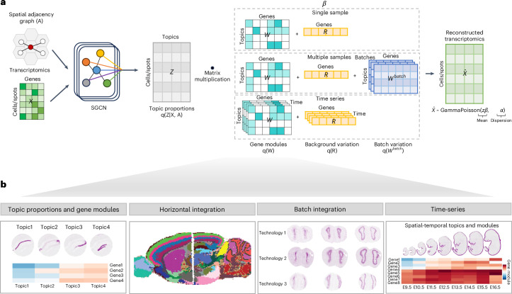 Interpretable spatially aware dimension reduction of spatial transcriptomics with STAMP - PMC