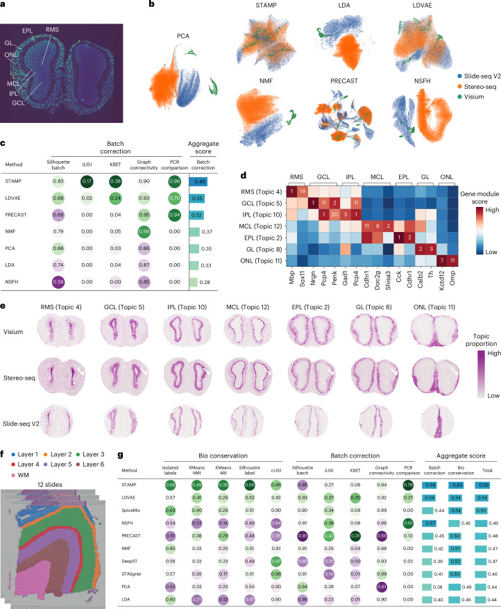 Interpretable spatially aware dimension reduction of spatial transcriptomics with STAMP - PMC