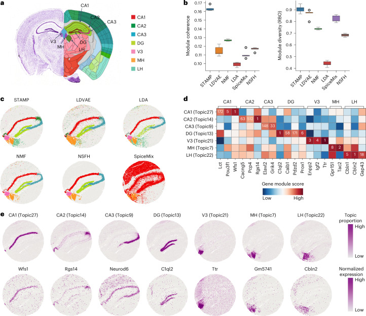 Interpretable spatially aware dimension reduction of spatial transcriptomics with STAMP - PMC