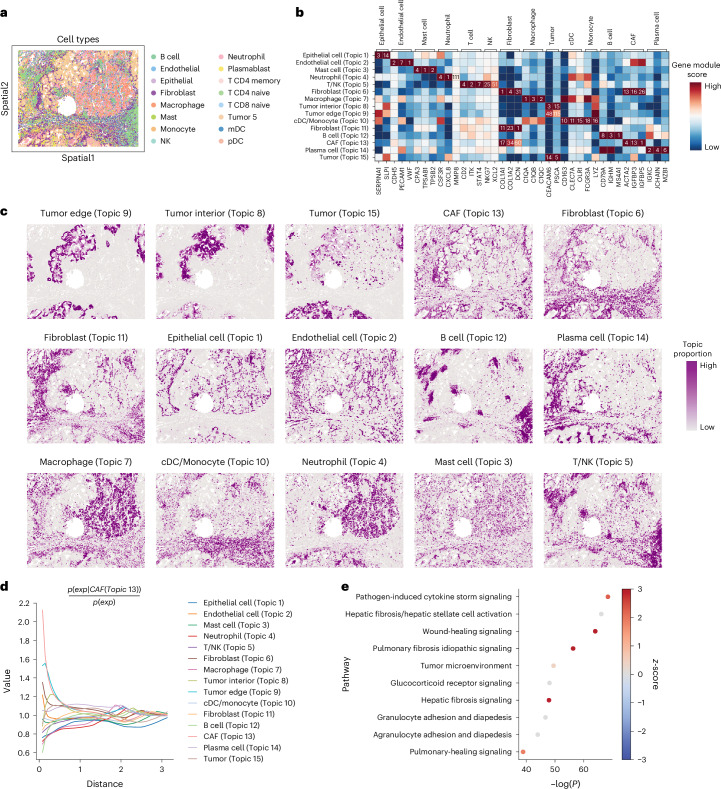 Interpretable spatially aware dimension reduction of spatial transcriptomics with STAMP - PMC