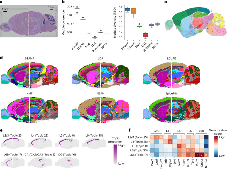 Interpretable spatially aware dimension reduction of spatial transcriptomics with STAMP - PMC