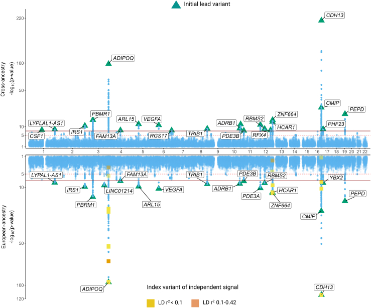 A cross-ancestry genome-wide meta-analysis, fine-mapping, and gene prioritization approach to ...