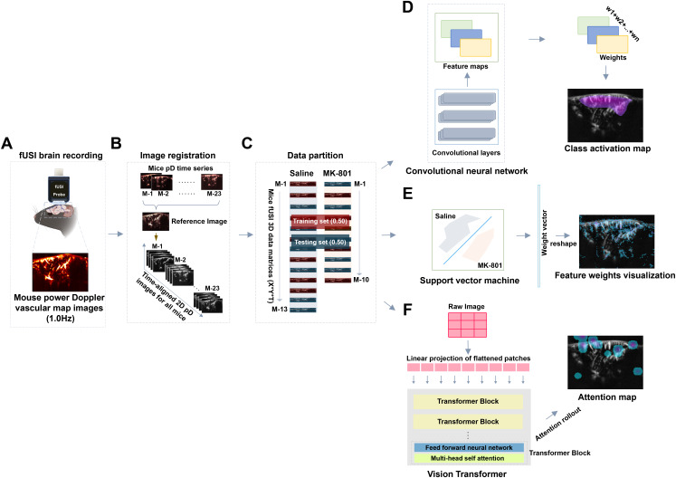 Functional ultrasound imaging combined with machine learning for whole ...