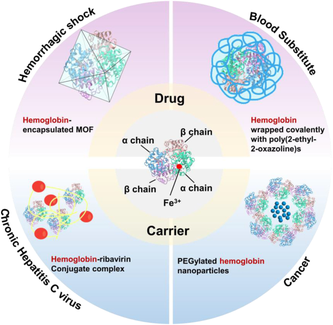 Red blood cells-derived components as biomimetic functional materials: Matching versatile ...