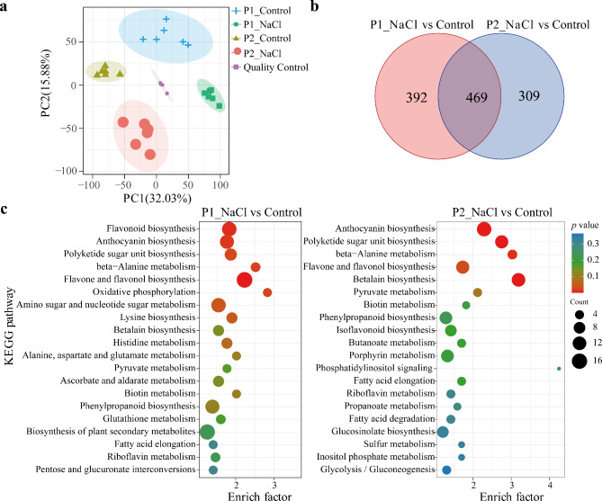 Integrated metabolomic and transcriptomic analysis reveals the role of root phenylpropanoid ...