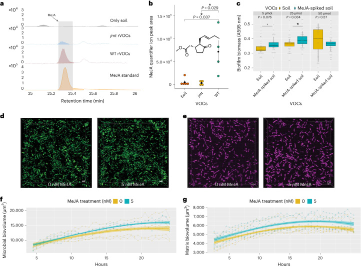 Volatile methyl jasmonate from roots triggers host-beneficial soil ...