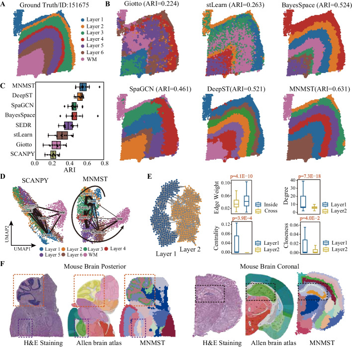 MNMST: topology of cell networks leverages identification of spatial domains from spatial ...