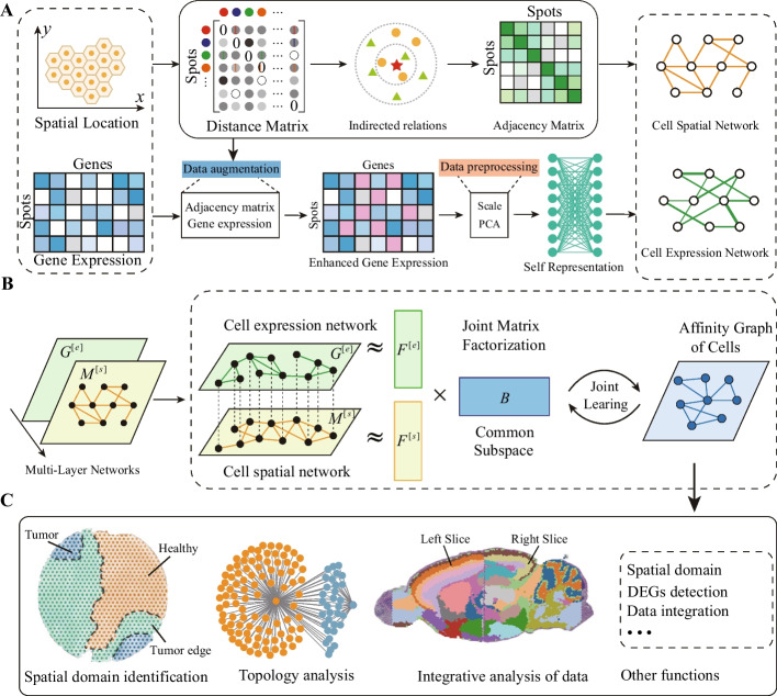 MNMST: topology of cell networks leverages identification of spatial domains from spatial ...