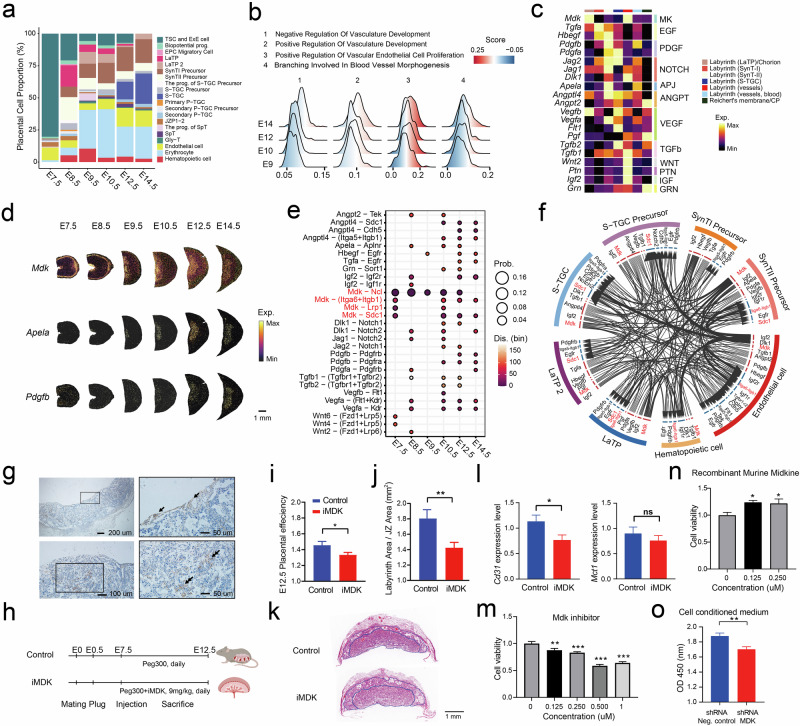 A Spatiotemporal Transcriptomic Atlas Of Mouse Placentation Pmc
