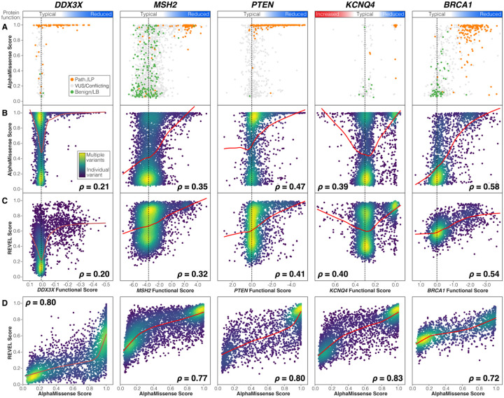 AlphaMissense is better correlated with functional assays of missense impact than earlier ...