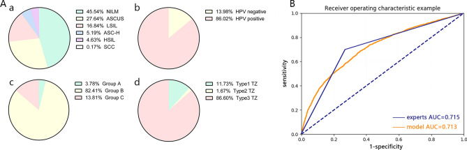 The application of deep learning based diagnostic system to cervical squamous intraepithelial ...