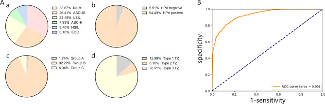 The application of deep learning based diagnostic system to cervical squamous intraepithelial ...