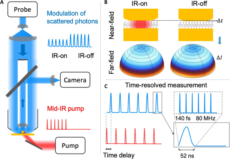 Ultrasensitive infrared spectroscopy via vibrational modulation of plasmonic scattering from a ...