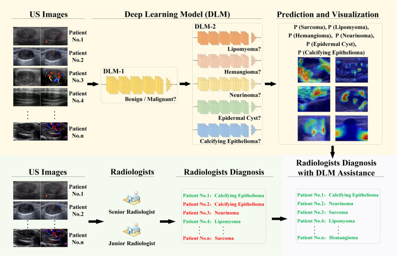 Deep learning models of ultrasonography significantly improved the ...