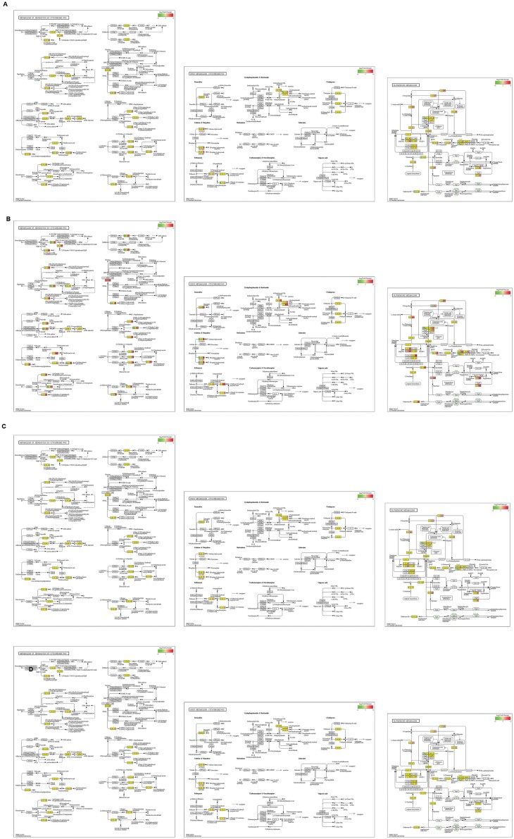 The Mechanism of Chlorantraniliprole Resistance and Detoxification in Trichogramma chilonis ...
