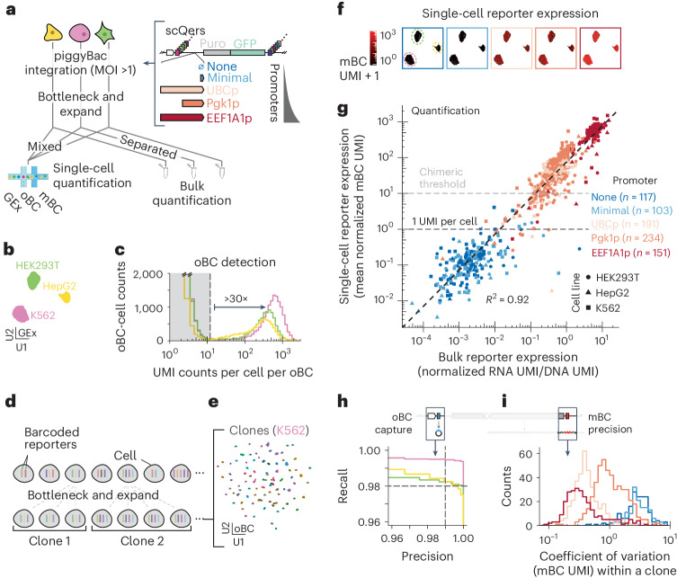 Multiplex profiling of developmental cis-regulatory elements with quantitative single-cell ...