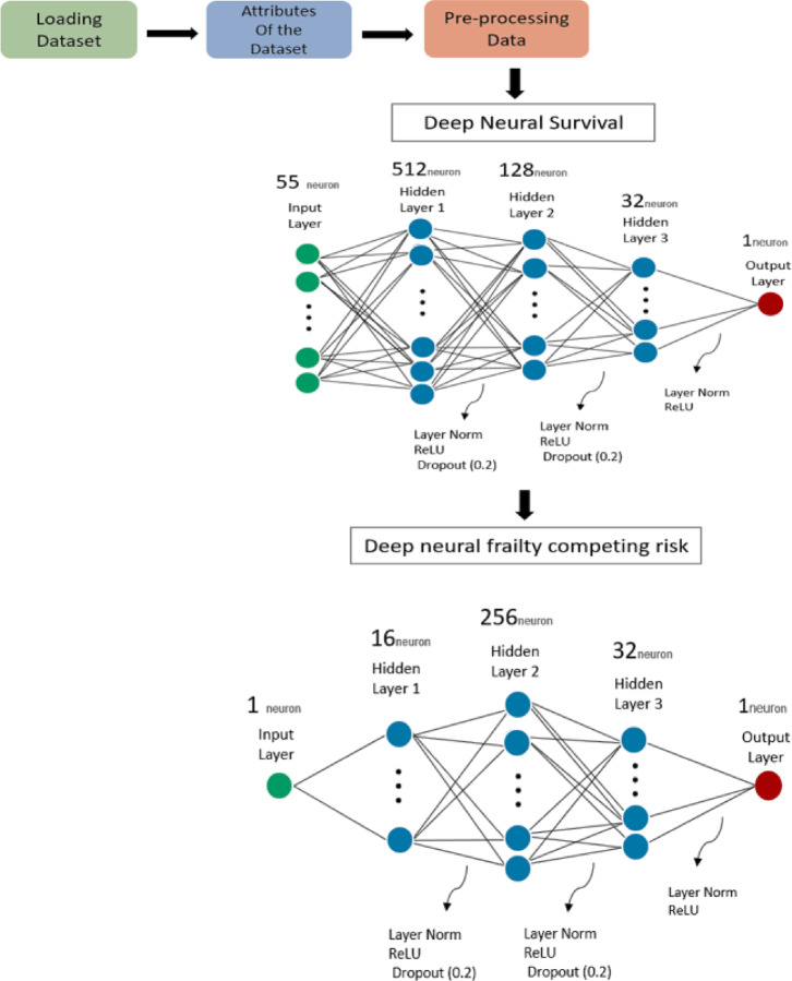 Development of a deep learning model for survival prediction in heart failure: competing risk ...