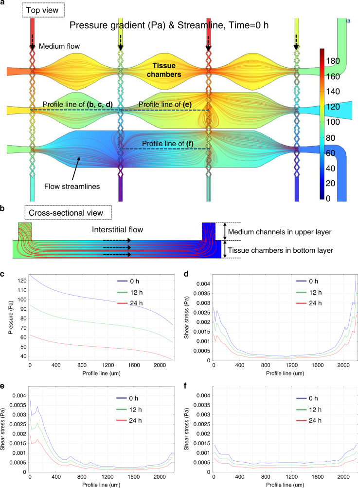 A modular microfluidic system based on a multilayered configuration to generate large-scale ...