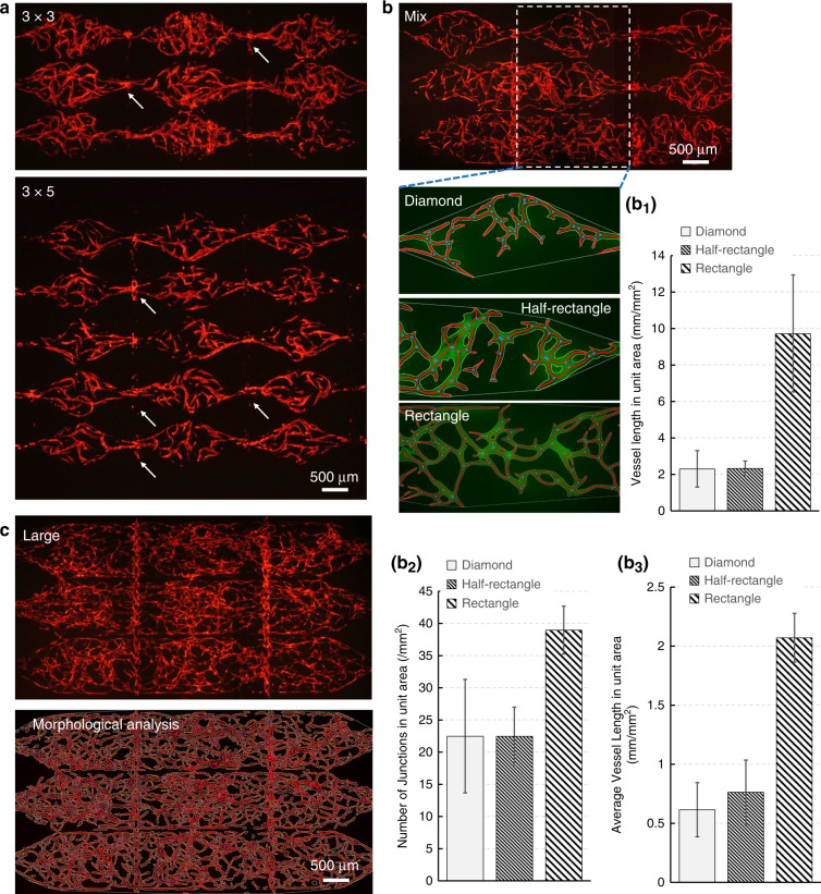 A modular microfluidic system based on a multilayered configuration to generate large-scale ...