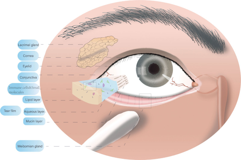 Effects of common eye diseases in children and their treatment measures ... Effects of common eye diseases in children and their treatment measures ...