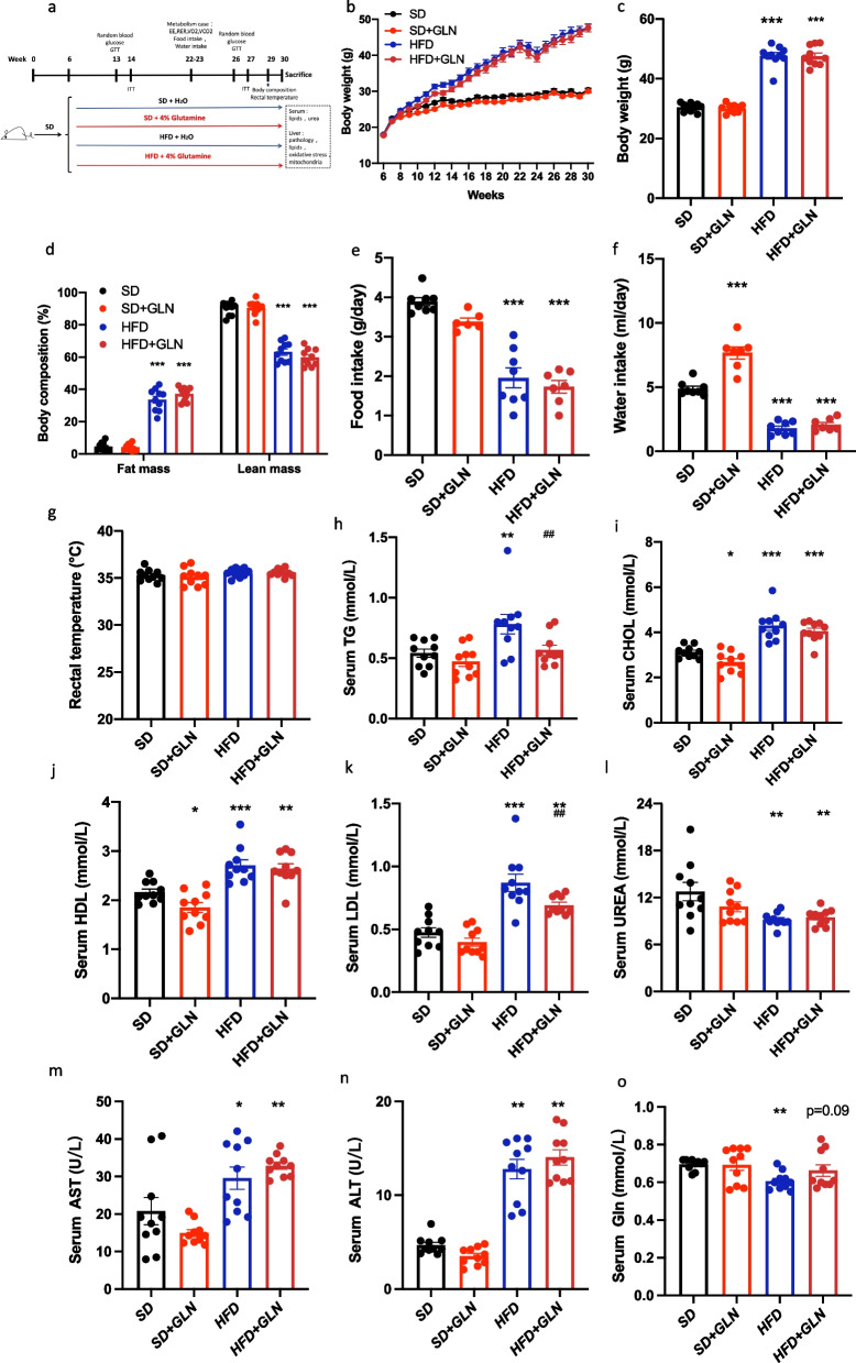 Glutamine prevents high-fat diet-induced hepatic lipid accumulation in ...