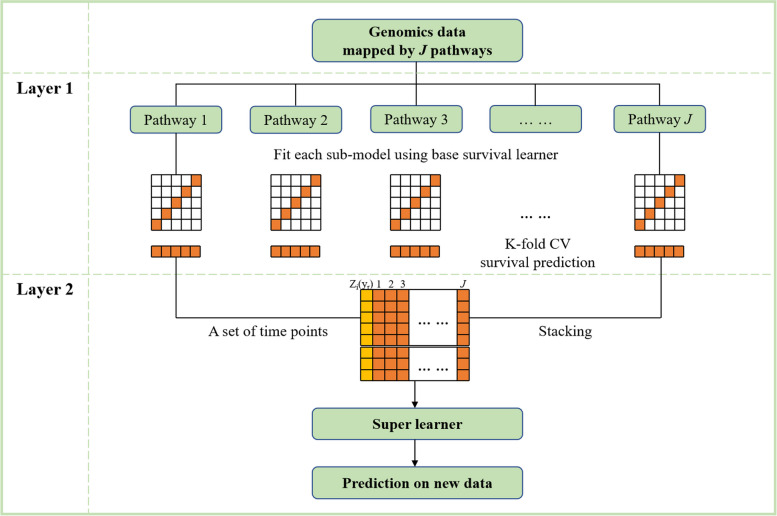 A novel non-negative Bayesian stacking modeling method for Cancer survival prediction using high ...