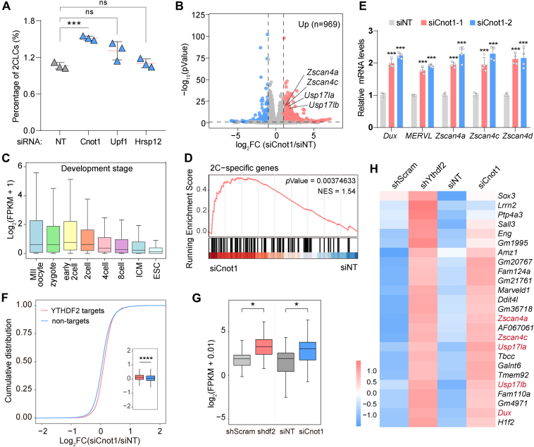 YTHDF2 suppresses the 2C-like state in mouse embryonic stem cells via ...