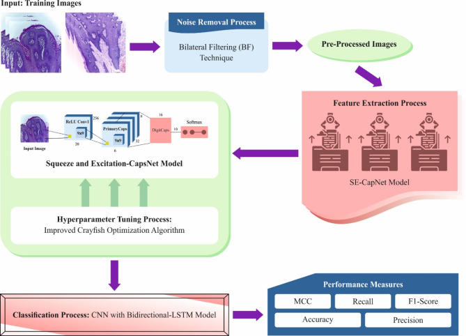 Deep transfer learning with improved crayfish optimization algorithm ...