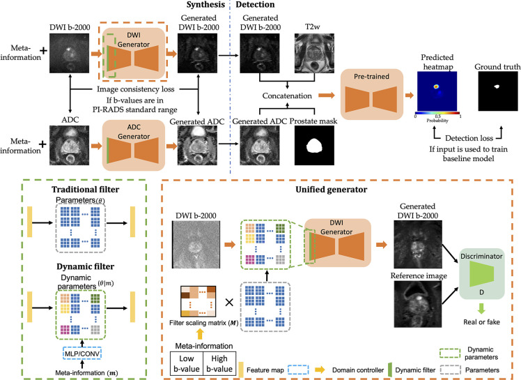 Deep Learning–based Unsupervised Domain Adaptation via a Unified Model for Prostate Lesion ...