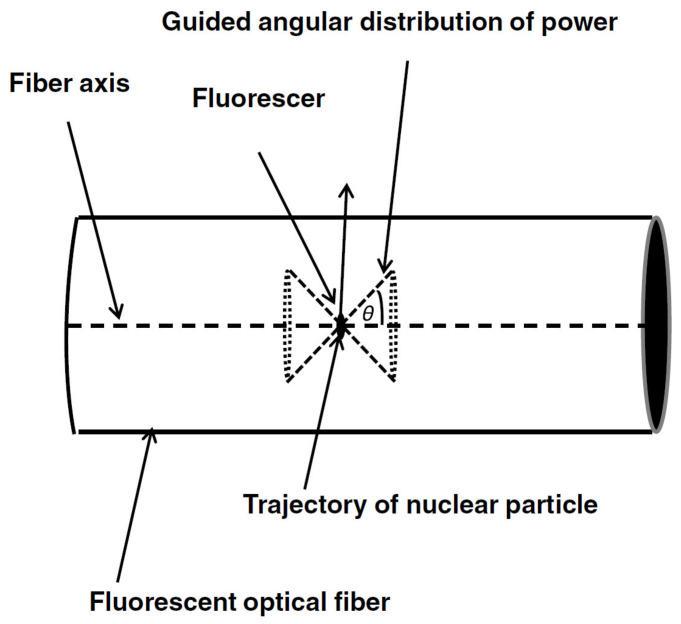 Fiber Optic Skew Ray Sensors Pmc