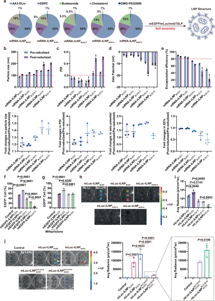 Budesonide-incorporated inhalable lipid nanoparticles for antiTSLP nanobody mRNA delivery to ...