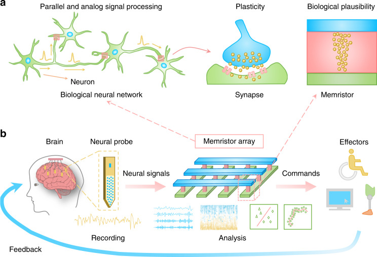 Neural signal analysis with memristor arrays towards high-efficiency brain–machine interfaces - PMC